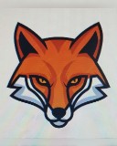 Zobacz wątek - 156fmi wypada dwójka